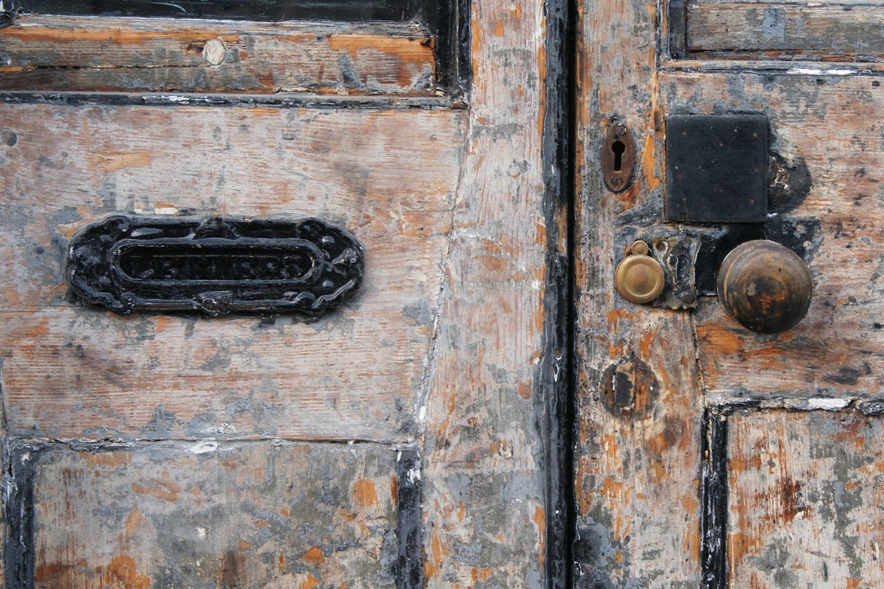 Ugliness in Contemporary Art: A Tool for Social Critique - For Art Lovers