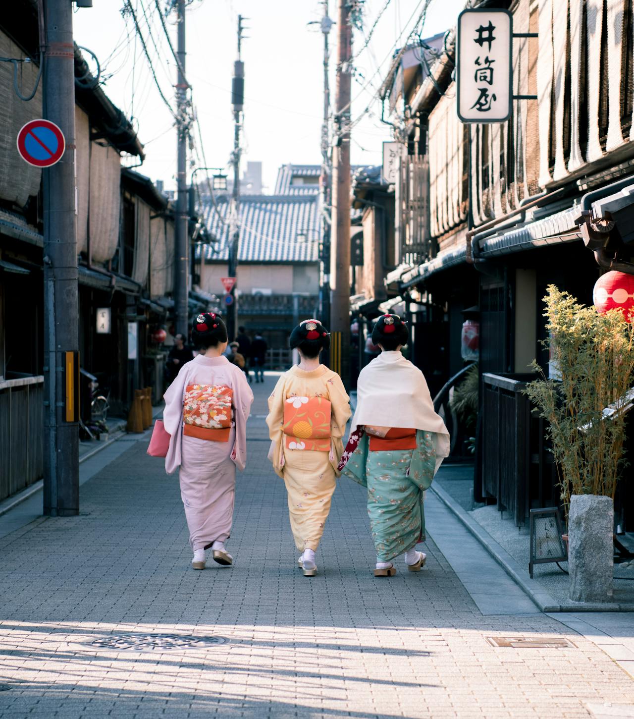 The Elegant Tapestry: Kimono Types in Japan - For Art Lovers
